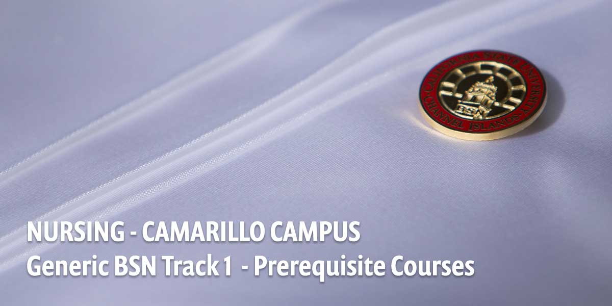 Nursing Information Session - Nursing Program - CSU Channel Islands